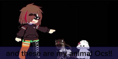 Yippee R Gachaheatpornreal