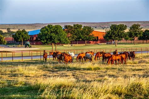 Take A Tour Of The 460 Million Four Sixes Ranch Now On The Market