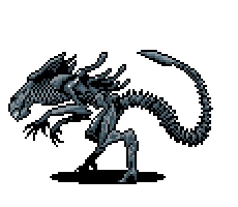 Queen Xenomorph Drawings