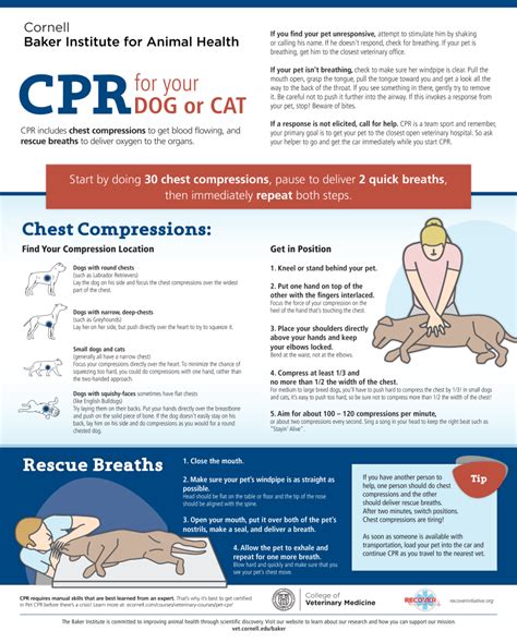 Pet Cpr Infographic Just Released Cornell University College Of
