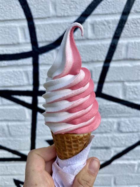 Top 5 Best Soft Serve In Montreal Great For Tiktok And Instagram