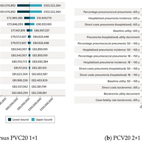 One Way Sensitivity Analyses On The Net Monetary Benefit Of Pcv20 2 1