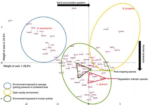 Diagrams Centred On The Correspondence Factor Analysis Cfa Variables Download Scientific