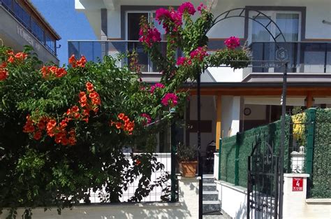 Adalı Villa 0535 557 62 59 Avşa Adası Rehberi