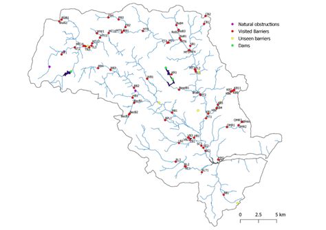 Strategic Teign Barriers Westcountry Rivers Trust