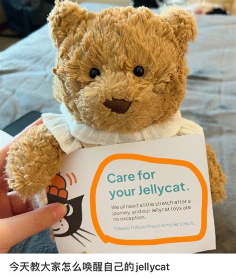 最近被年轻人疯养的jellycat，是种什么猫？澎湃号·湃客澎湃新闻 The Paper