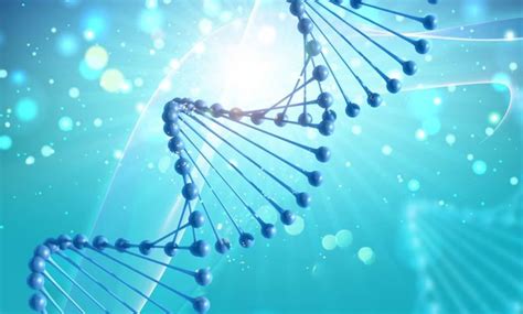 Pan Genome Reference Map Ias Exam