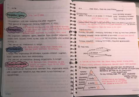 Sec 2 Expressna Science Notes Hobbies And Toys Books And Magazines
