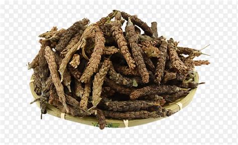 竹碟里的夏枯草素材png图片素材下载图片编号9559366 Png素材网