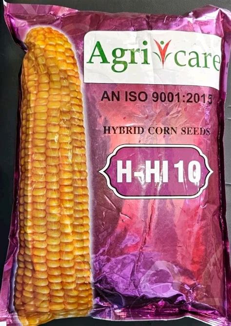 Hybrid Maize Seeds Medium Packaging Size 40 Kg At ₹ 140 Kg In Mandsaur