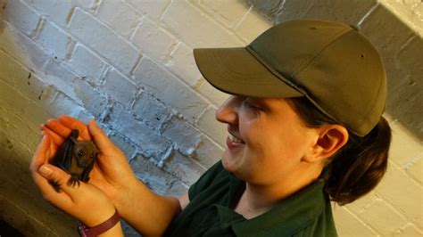 Cotswold Keeper Cares For Fruit Bat Orphans Zooborns