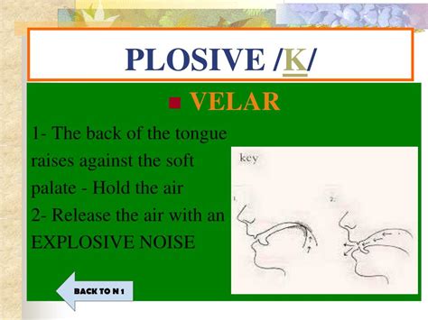 Ppt English Plosives P T K Powerpoint Presentation Free