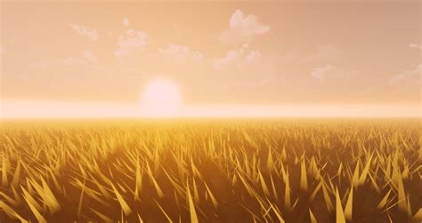 Level 10 The Field Of Wheat” The Backrooms Existential Cosmos Wiki