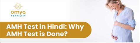 Amh Test In Hindi जाने Amh Test क्या है Omya