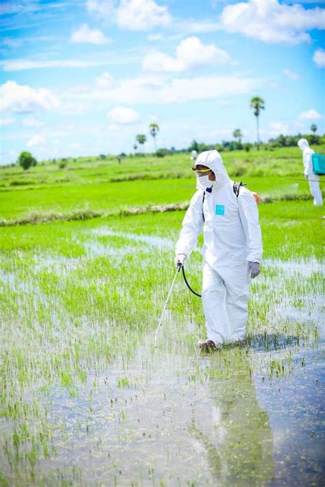 ស្រុកចំនួន២ នៃខេត្តកំពង់ចាម