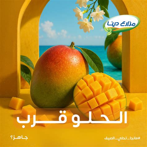 ‎dina Farms Dina Farms Outlets منافذ مزارع دينا