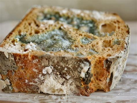 Close Up Of Moldy Bread Slices Showcasing The Detailed Texture And
