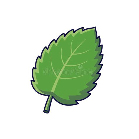 Fresh Herbs Concept Cute Mint Leaf Vector Cartoon Icon Illustration