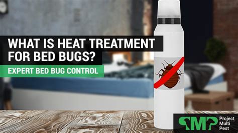 Bed Bug Treatment Preparation