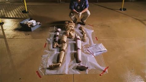 Brian Moser Edit The Perfect Girl Rdexter