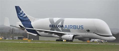 Airbus Beluga Xl · History Technical Data And Photos · Aerocorner