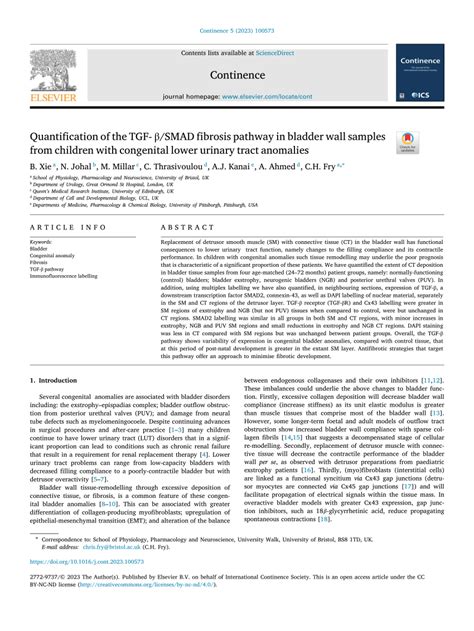 Pdf Quantification Of The Tgf β Smad Fibrosis Pathway In Bladder