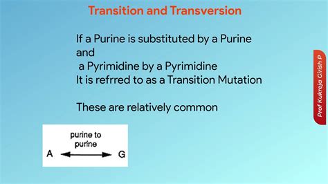 Micro30 Mutation Types Transition And Transversion Genetics And