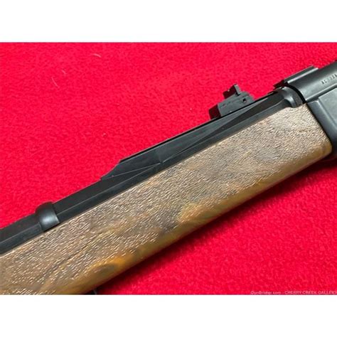 Daisy Legacy 2203 New And Used Price Value And Trends 2025