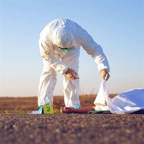 Crime Scene Search Principles And Patterns