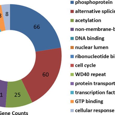Functional Annotation Clustering Determined Using DAVID Bioinformatics Download Scientific