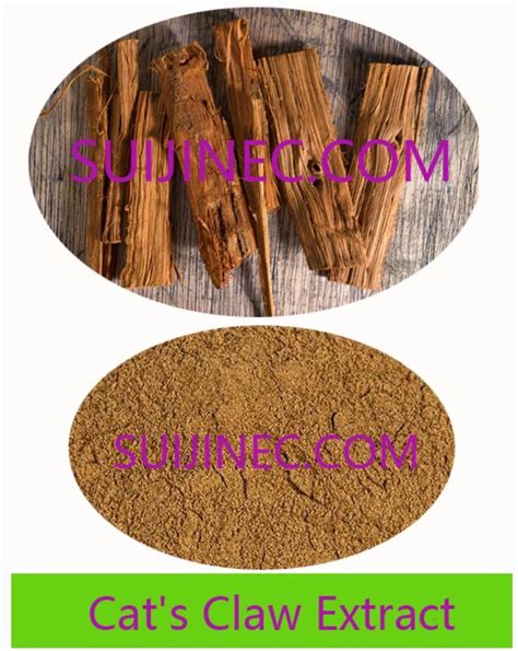 Cats Claw Extract Uncaria Tomentosa