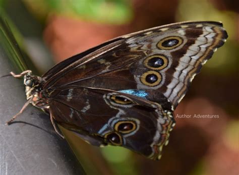 James Willard Schultz In Arizona Author Adventures Literary Road Trips