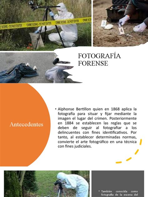 Fotografía Forense Técnicas Y Objetivos Pdf Crímenes Crimen Y