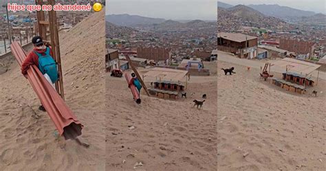 Tiktok Joven Usa Su Dinero Para Construir Casitas A Los Perros Sin
