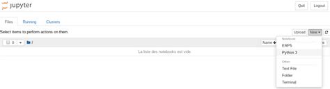 Howto Use Cython In Jupyter Notebook