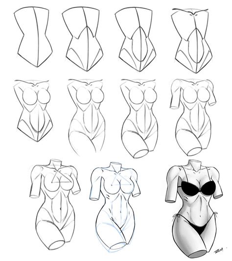 Drawing A Female Torso Step By Step Tutorial By Robertmarzullo On