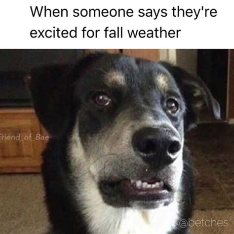 30 Hilarious End Of Summer Memes For People Who Are Ready To Be Done
