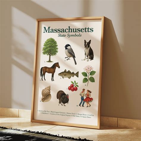 Massachusetts State Symbols Poster — Vintage Educational Wildlife Print