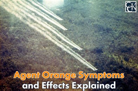 Agent Orange In Thailand During The Vietnam War Cck Law