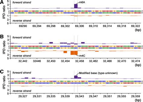 Trace Of Ipd Ratio Variations Showing Three Instances Of Modified