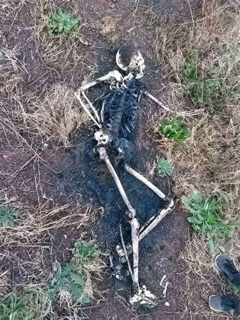 Burned Skeletal Remains Found In Bush Identified As Missing South African Woman Last Seen With
