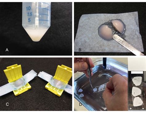 Standardized Processing For Formalin Fixed Paraffin Embedded Cell