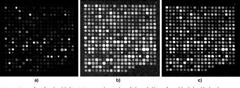 Figure 1 From Microarray Image Analysis From Image Processing Methods To Gene Expression Levels