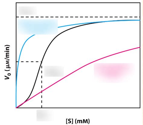 Diagram Of Allosteric Enzymesandmodulators Quizlet