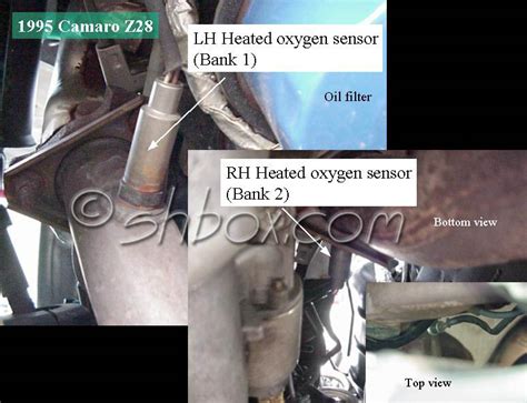 Oxygen Sensor Wiring Ls1lt1 Forum