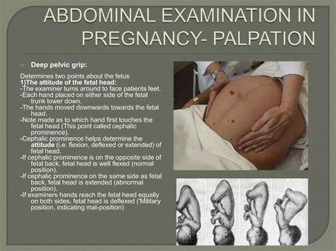 The Obstetric Examination Ppt Pptx