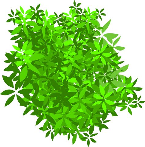 Bush Texture Png