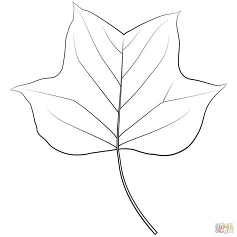 Tulip Tree Leaf Super Coloring Diy Crafts Paper Flowers Tree