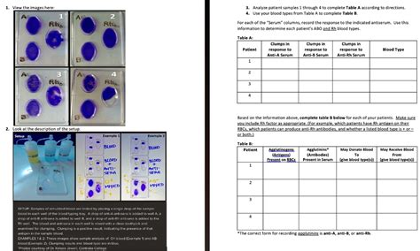 Solved Look Through The Experiment And Fill The Following Tables