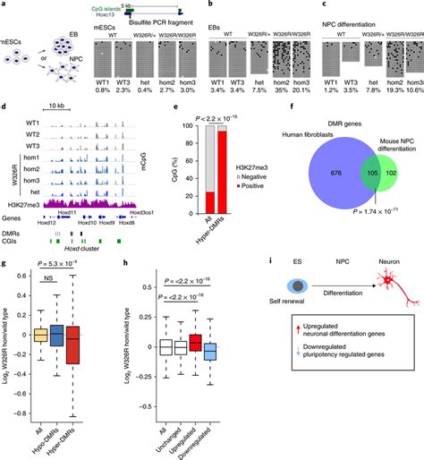 Hypermethylation Of Polycomb Marked Regions Is Observed On Download Scientific Diagram